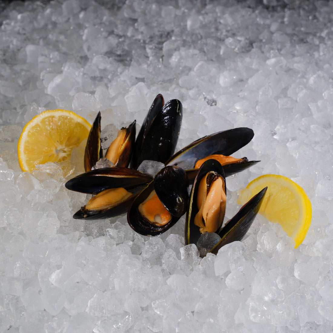 Black Mussel Whole 黑淡菜 – LCK SEAFOOD