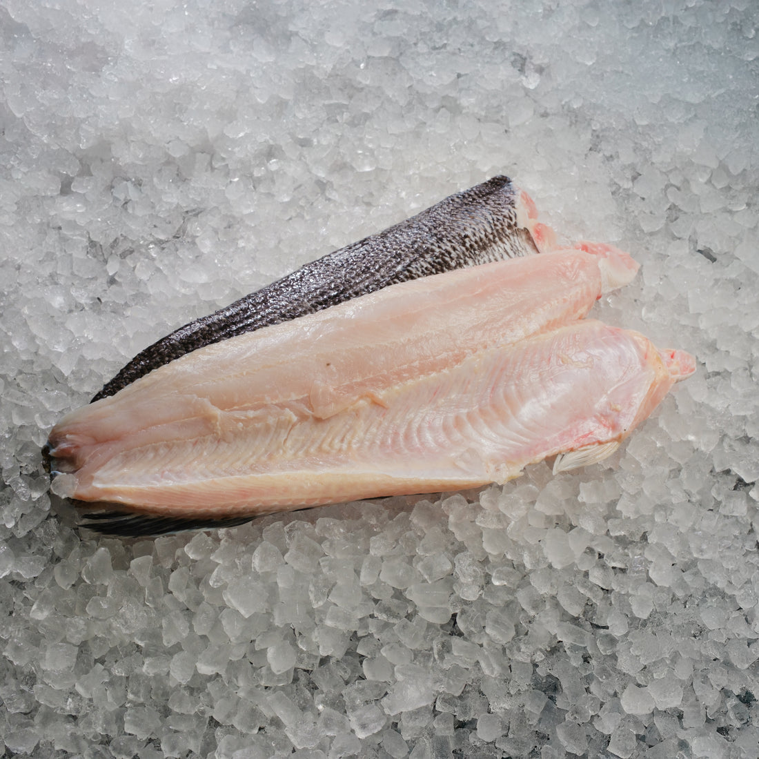 Snake Head Fillet (Toman) 生鱼肉 – LCK SEAFOOD